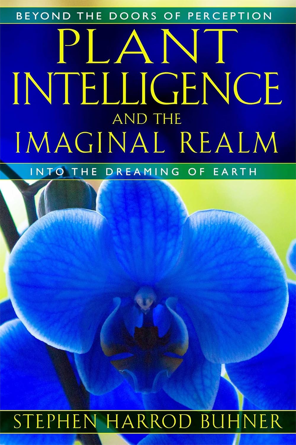 Plant Intelligence and the Imaginal Realm – Artemis Tea & Botanical