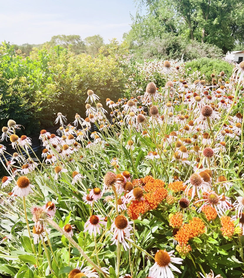 Artemis Tea & Botanical | Hand-Blended Organic Teas from Small Farms