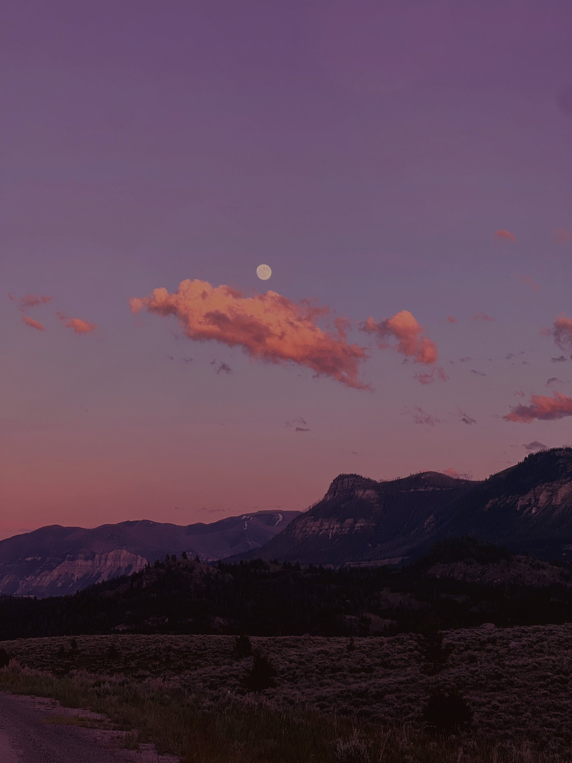 Artemis Tea & Botanical | Hand-Blended Organic Teas from Small Farms