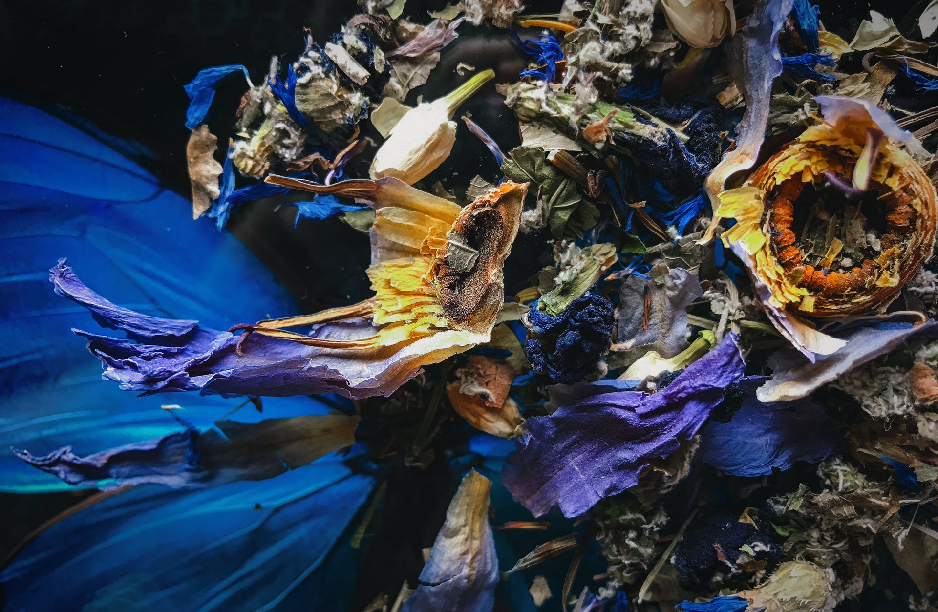 Artemis Tea & Botanical | Hand-Blended Organic Teas from Small Farms