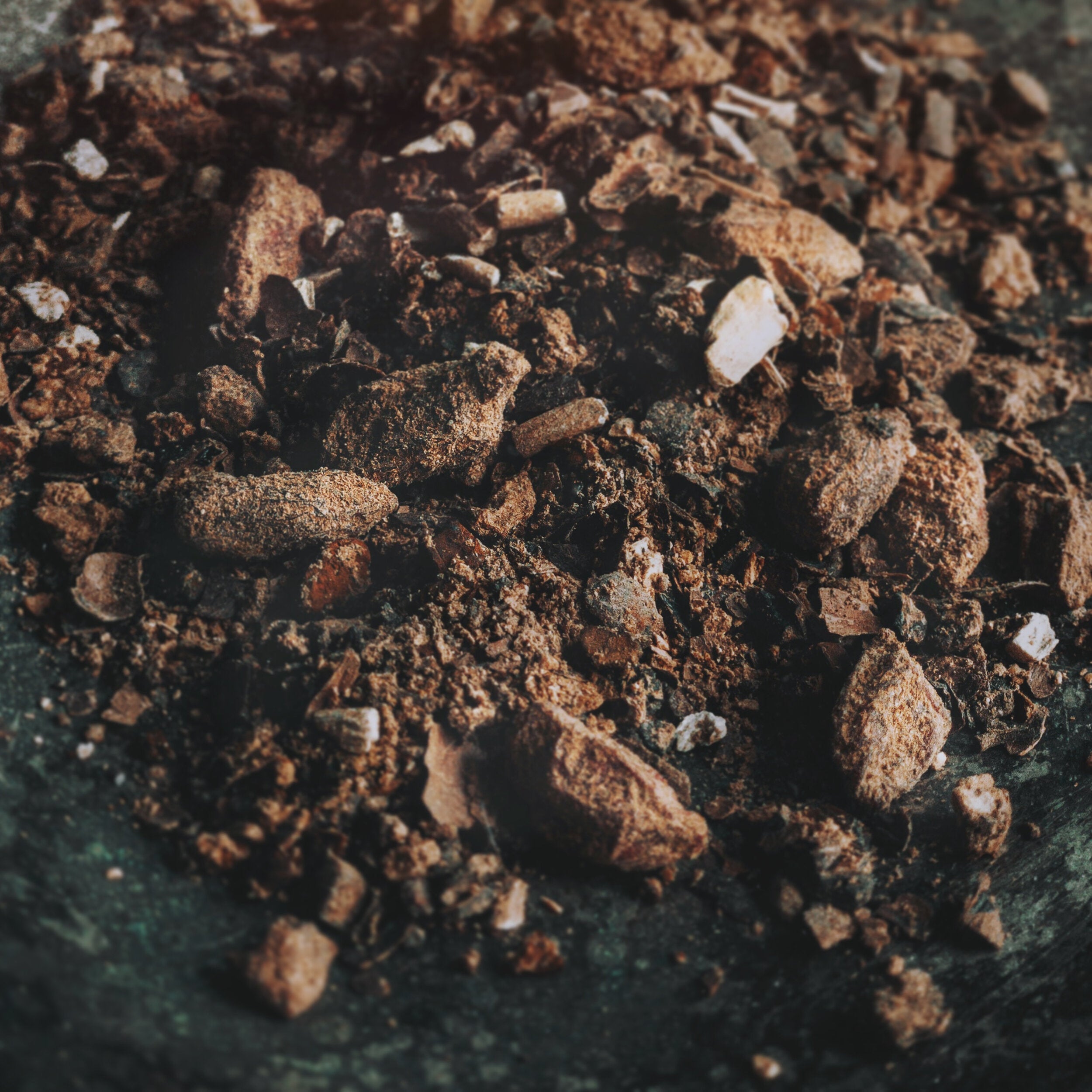 Saga – Artemis Tea & Botanical