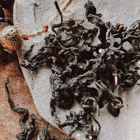 Artemis Tea & Botanical | Hand-Blended Organic Teas from Small Farms